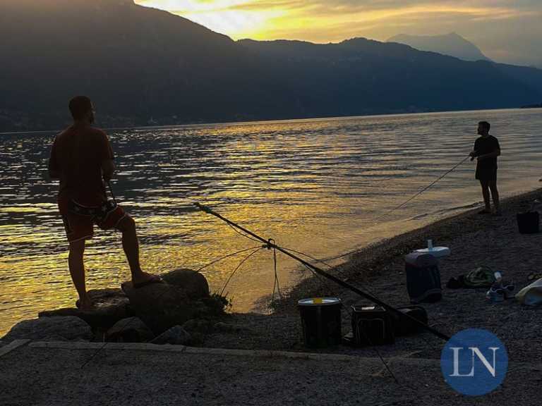 Lago | Si è aperta la pesca all'agone, ieri la prima serata di catture